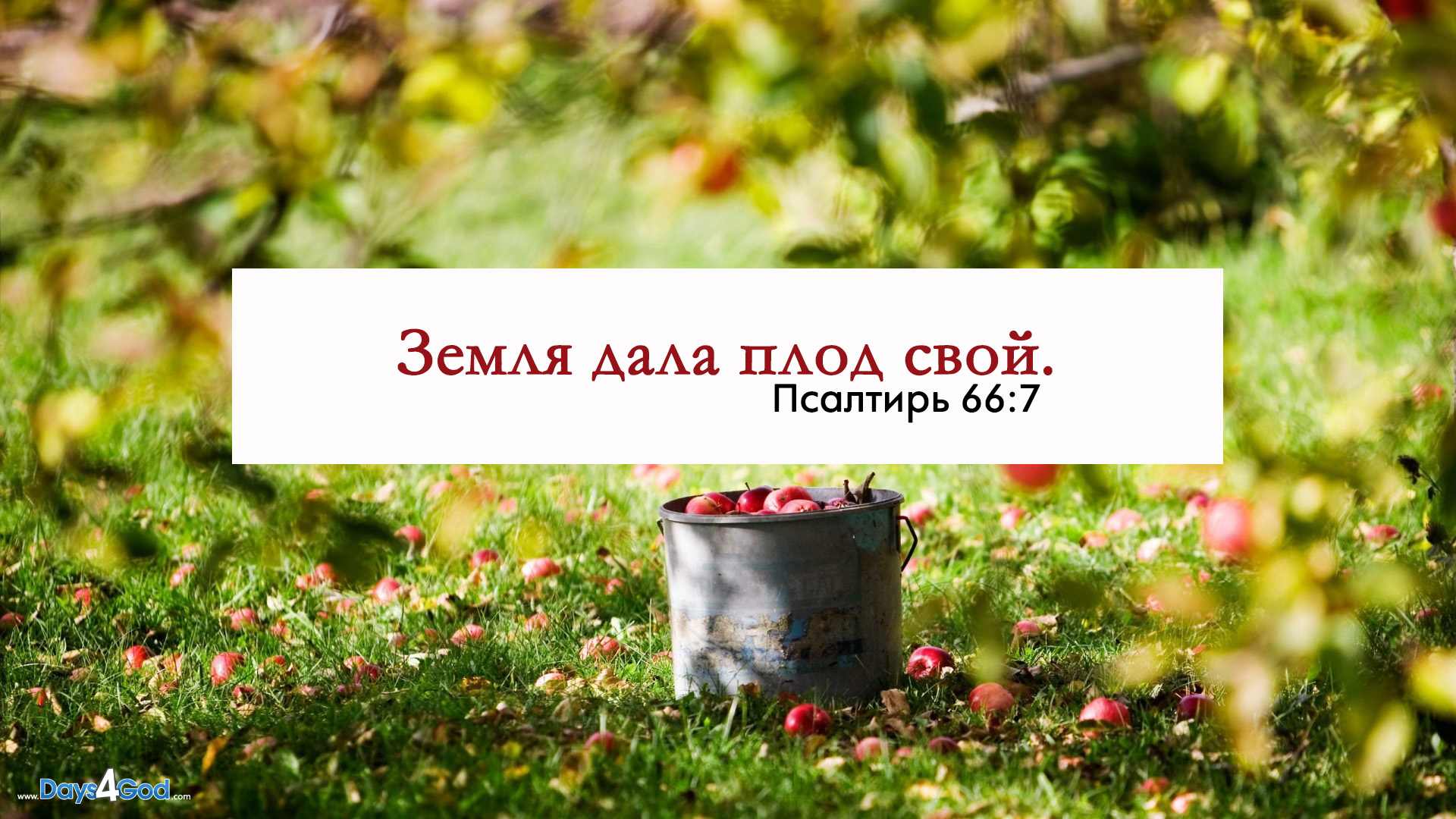 wallpapers - Христианские обои, картинки, фотографии - Дни для Бога